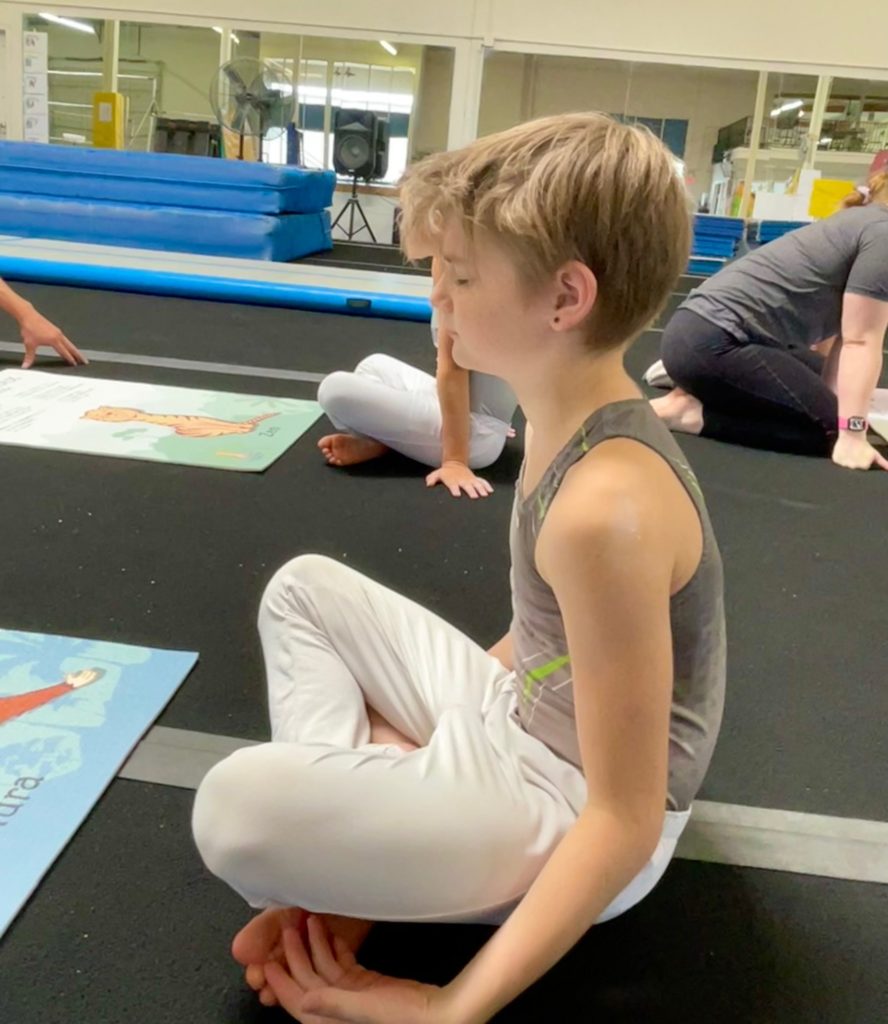 Reviews - Zen Tiger Mind