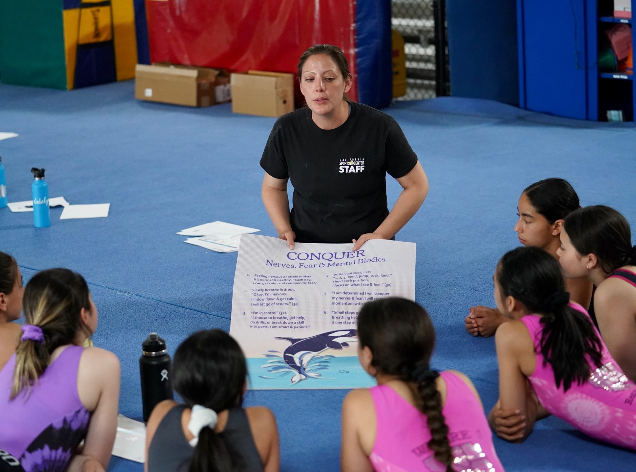 Zen Tiger Family - Zen Tiger Mind