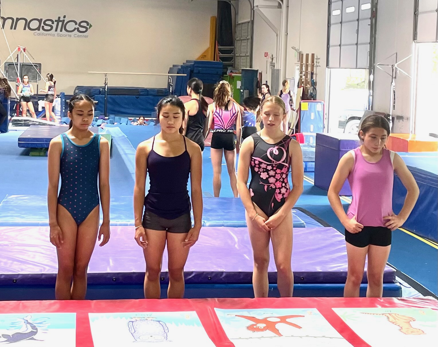 Reviews - Zen Tiger Mind